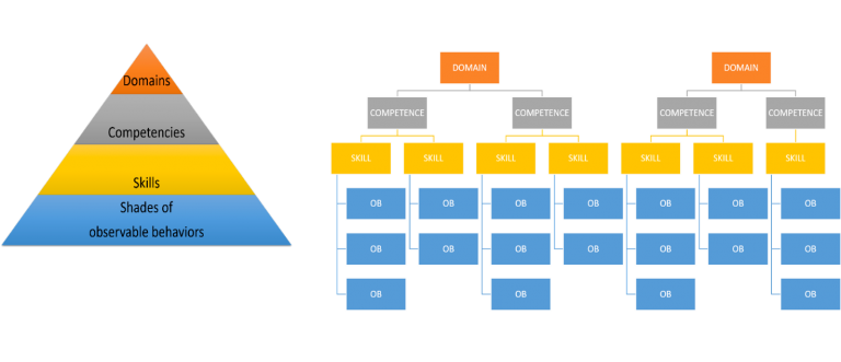 Making a Competency Model Truly Actionable in People’s Development